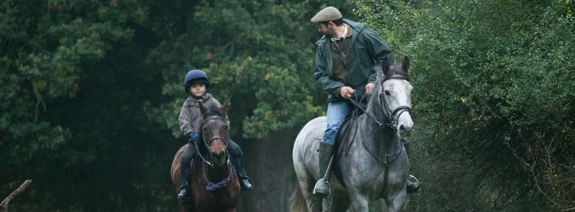 About the New Forest Commoners Defence Association - Real New Forest