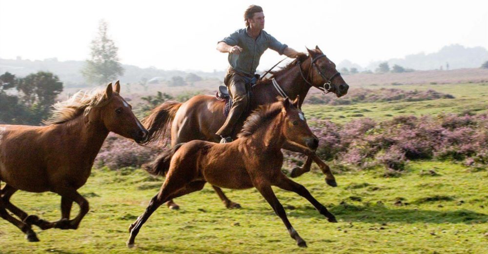 About Commoning - Real New Forest