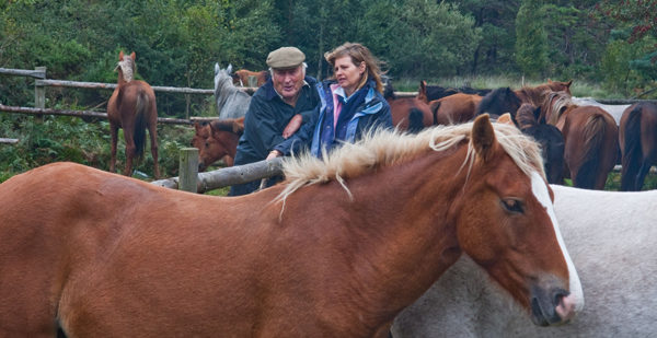 Commoners - Real New Forest