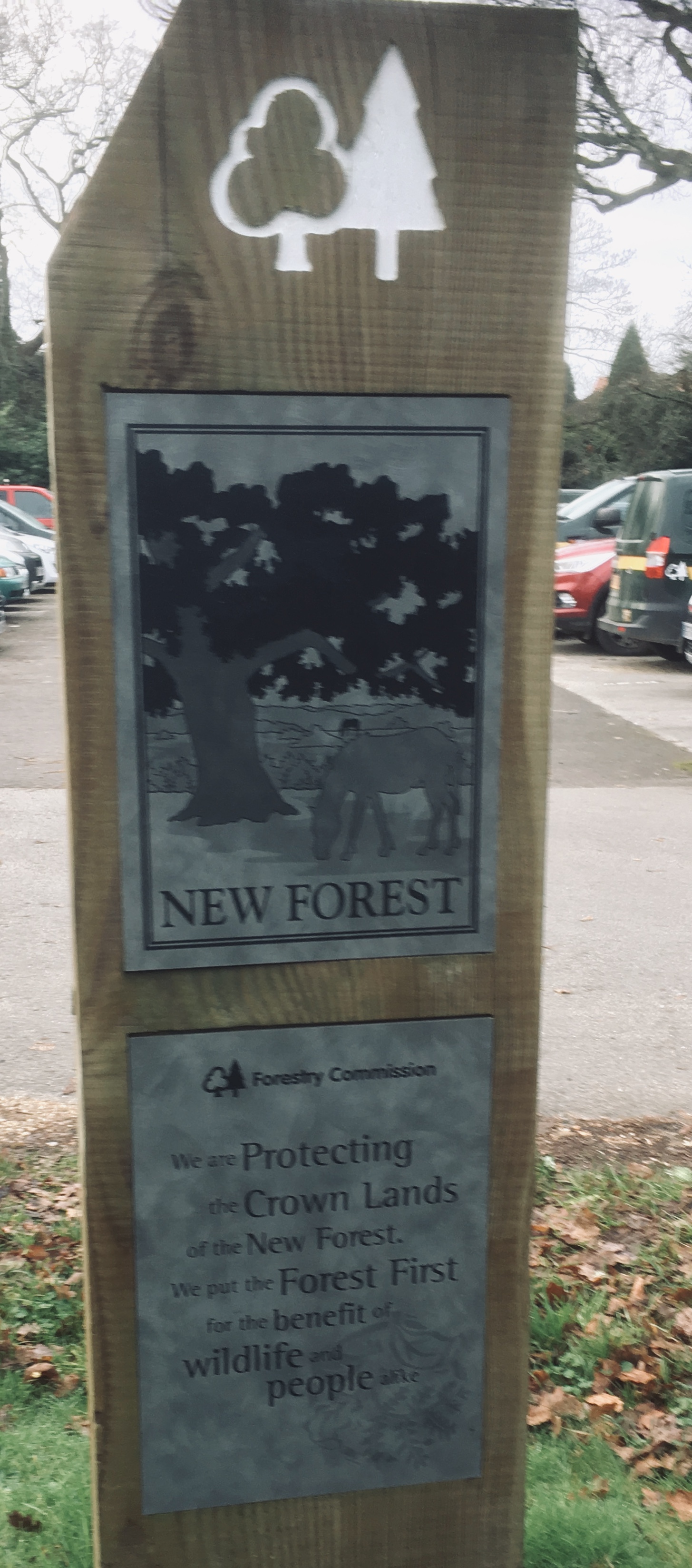 Forestry England celebrates 100 years: Back to the Future - Real New Forest