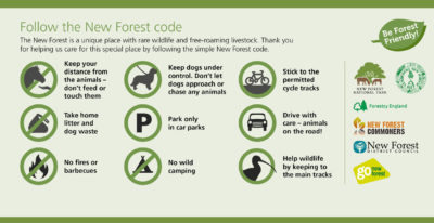 A Shared Forest - Real New Forest