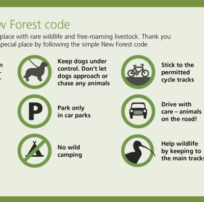 Home - Real New Forest | New Forest Commoners Defence Association