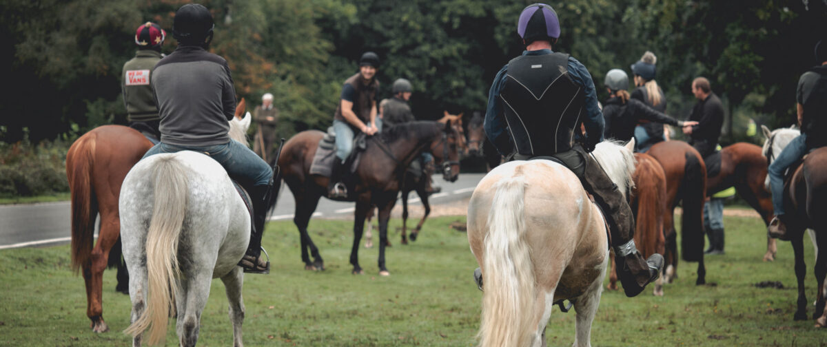 New Forest Commoners recognised as a national minority - Real New Forest