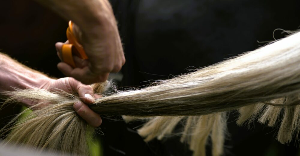 About Commoning - Real New Forest