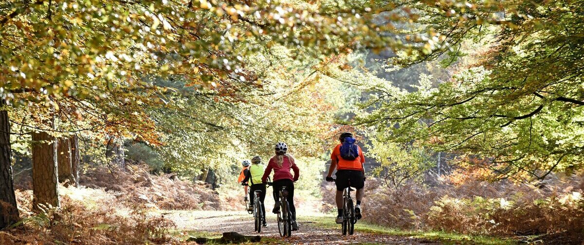 Feedback wanted for proposed cycle network revamp in New Forest - Real ...