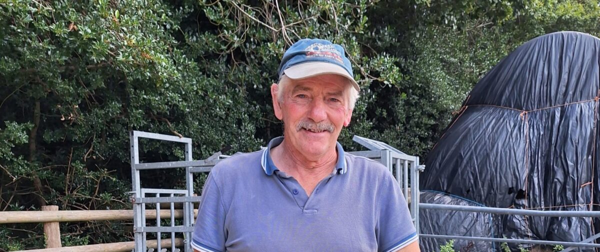 A real community, but not without its challenges - Life of a New Forest ...