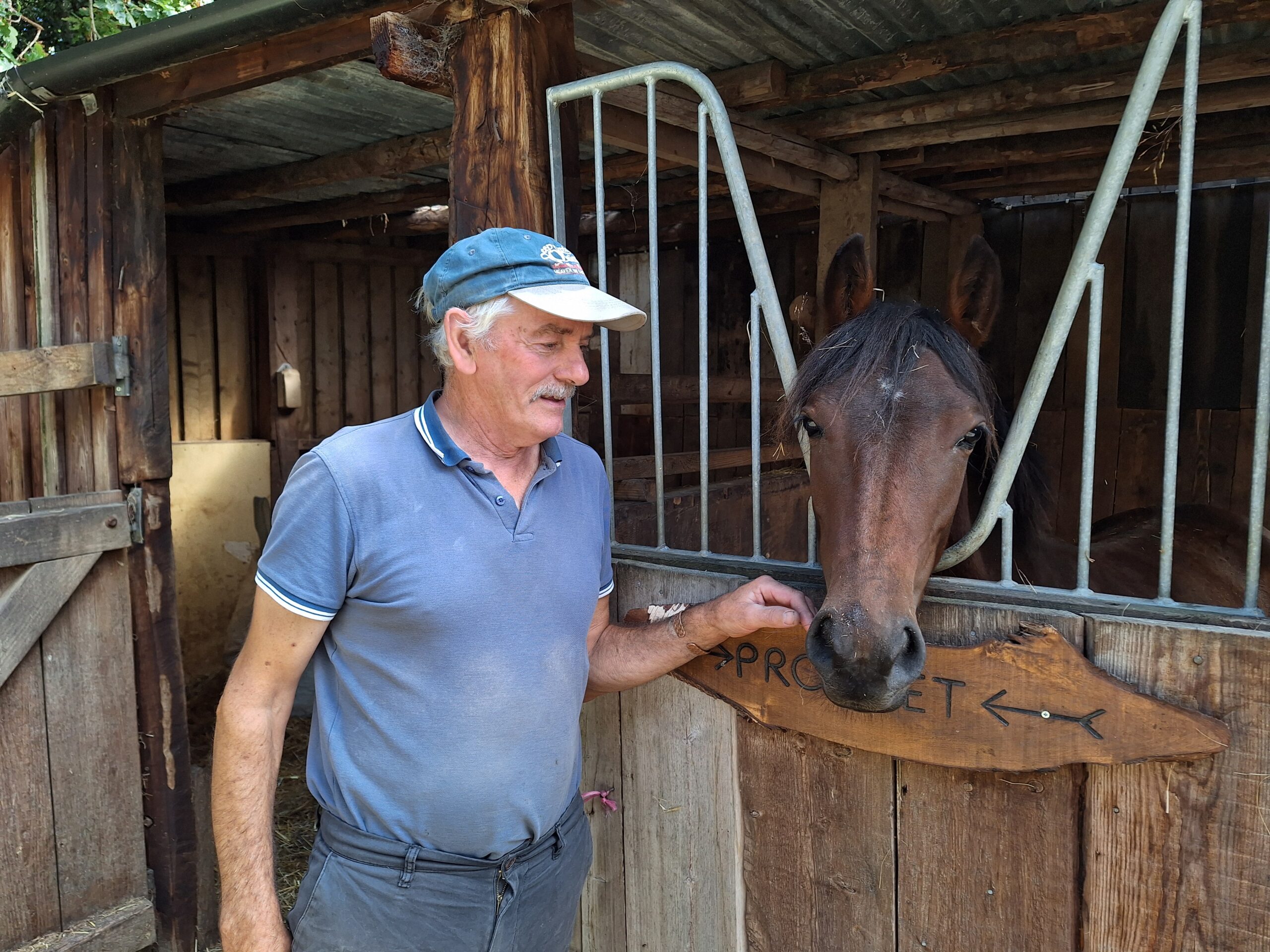 A real community, but not without its challenges - Life of a New Forest ...