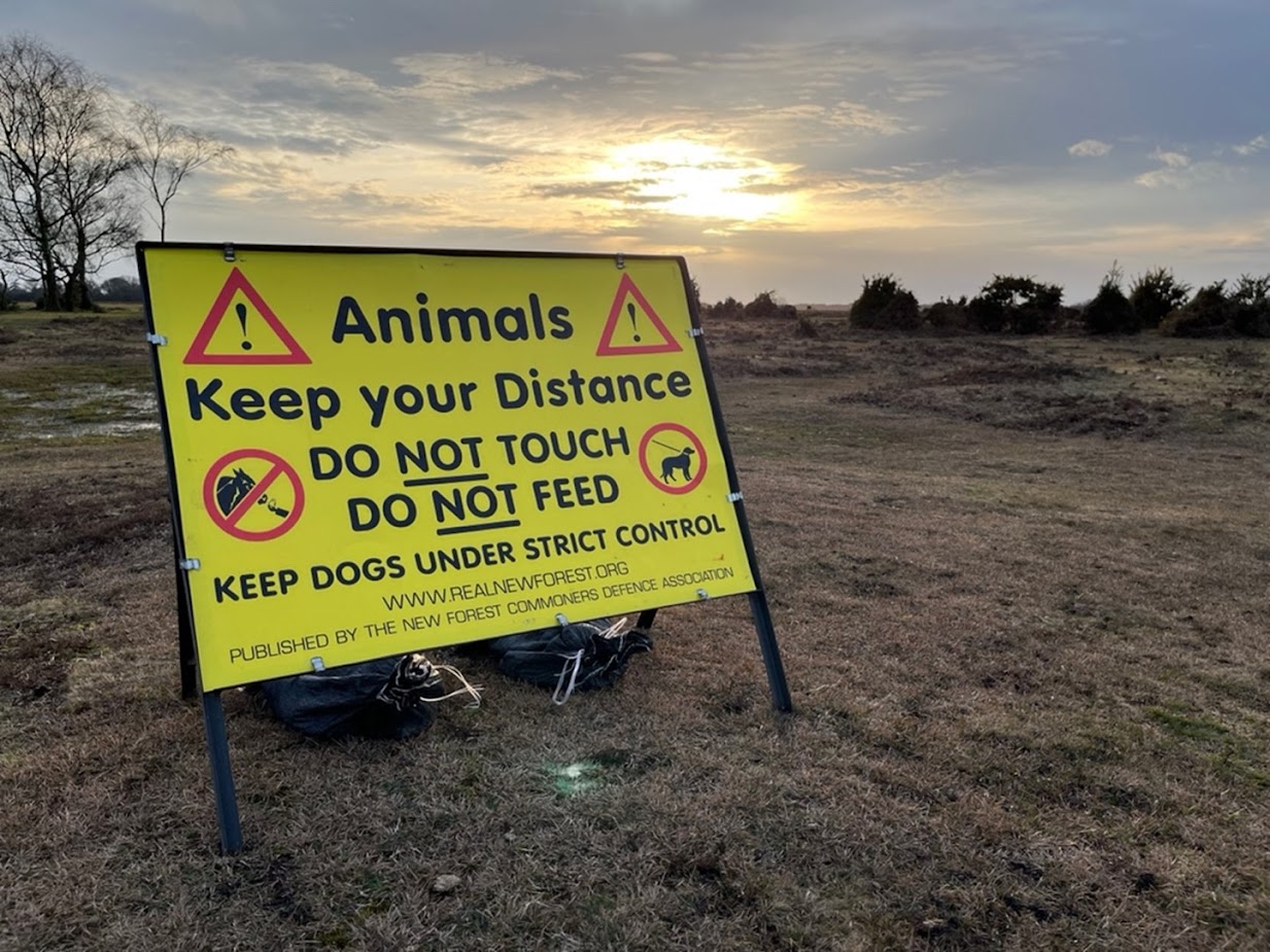 A real community, but not without its challenges - Life of a New Forest ...