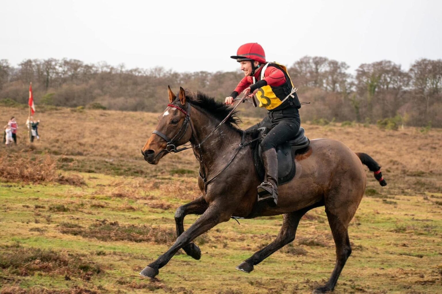 Celebrating women in New Forest commoning on International Women's Day ...